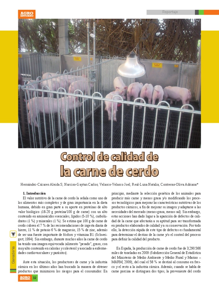 Control Calidad de Carne de Cerdo | PDF | Carne | Nutrición