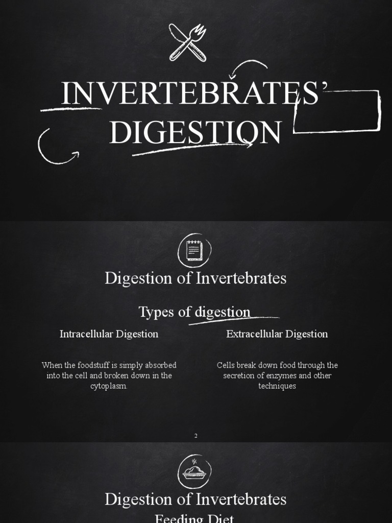Biology Invertebrates Digestion | PDF | Digestion | Gastrointestinal Tract