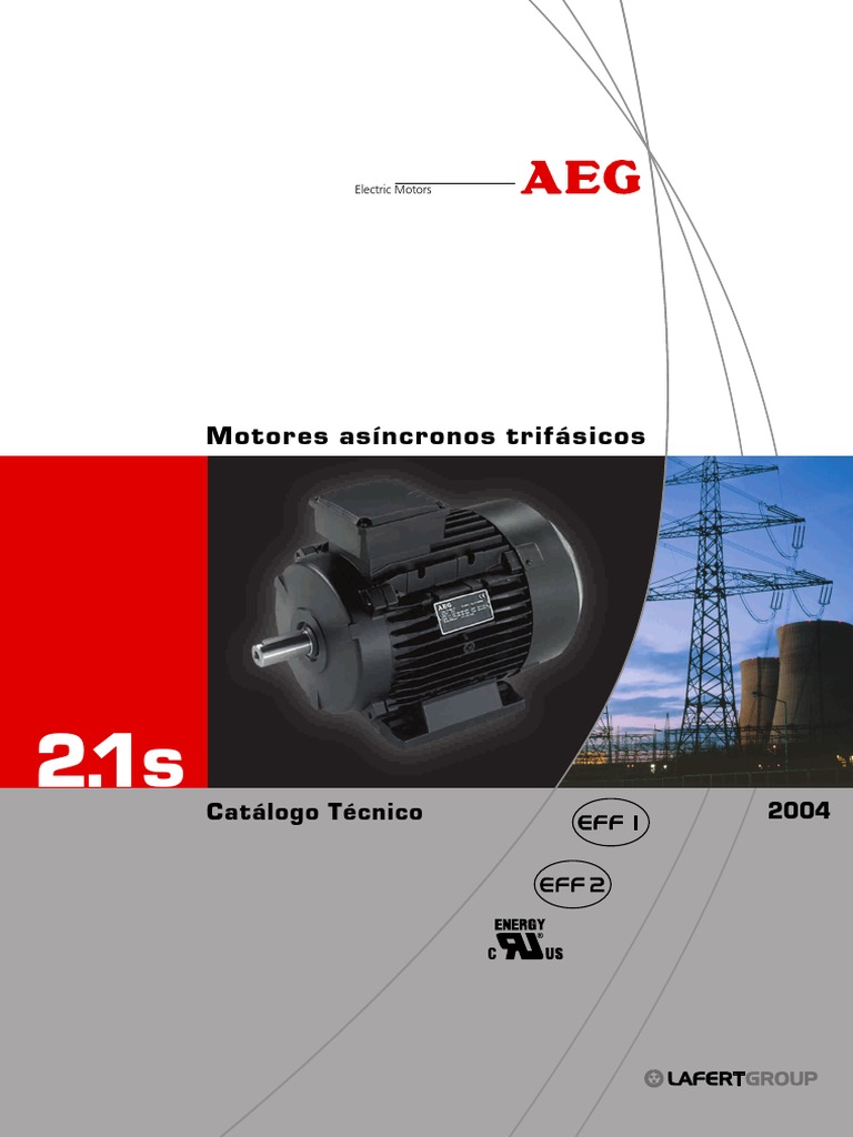 Catálogo de Motores Eléctricos AEG | PDF | Tolerancia de ingeniería | Agua