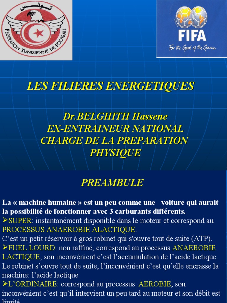 Filières Energétiques | PDF | Adénosine triphosphate | Acide lactique