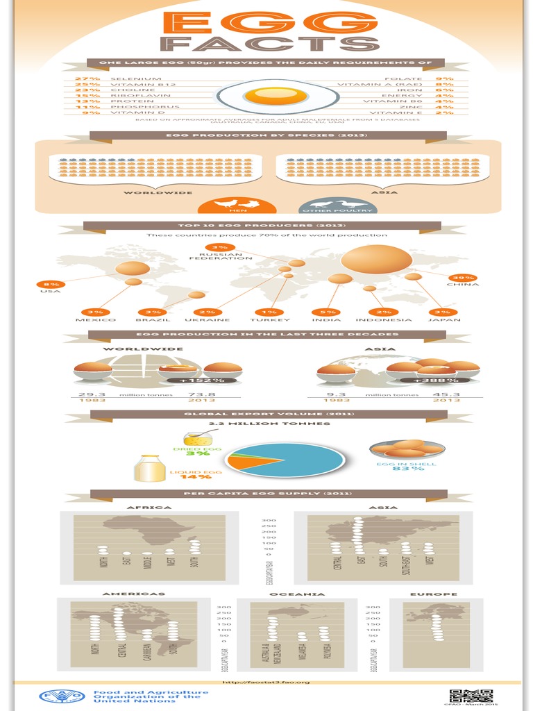 FAO Infographic Egg Facts en | PDF | Egg As Food | Food And Drink