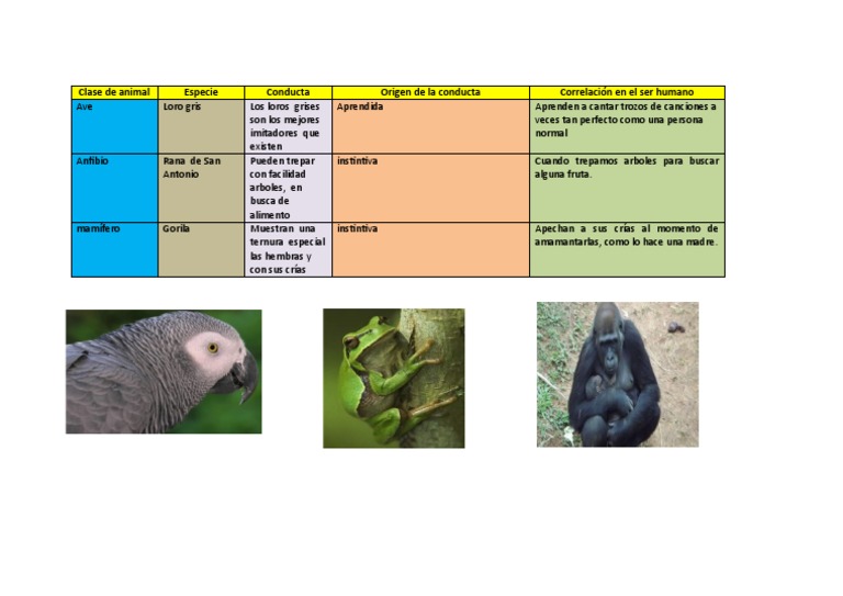 Cuadro Comparativo Conductas Instintivas y Aprendidas R | PDF