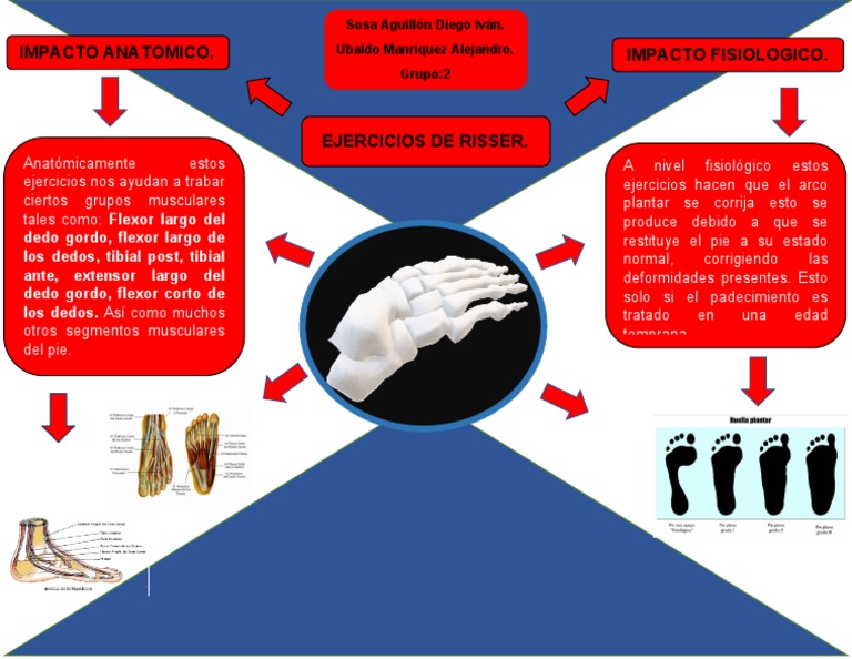 Ejercicios de Risser Infogafria | PDF