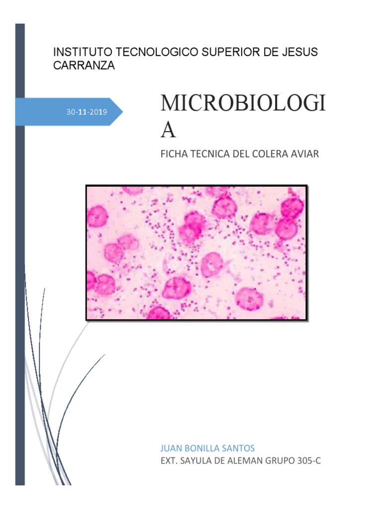 Colera Aviar | PDF | Aves | Epidemiología