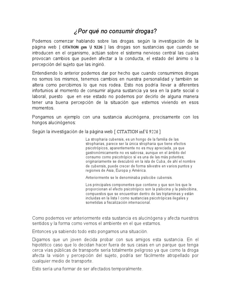 Ensayo Sobre Las Drogas | PDF | La dependencia de sustancias | Drogas