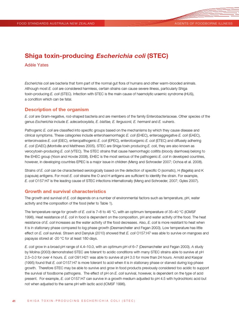 Shiga Toxin-Producing Escherichia Coli (STEC) : Description of The ...