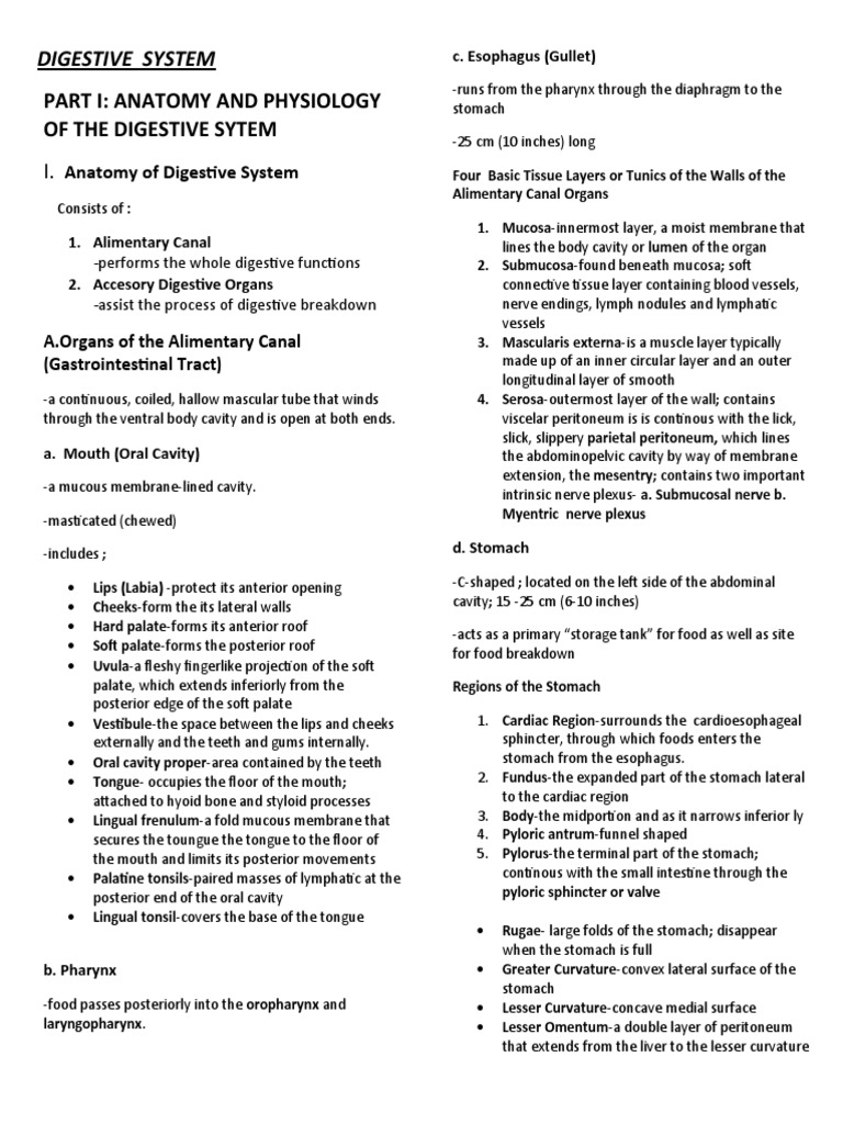 Part I: Anatomy and Physiology of The Digestive Sytem | PDF | Digestion ...