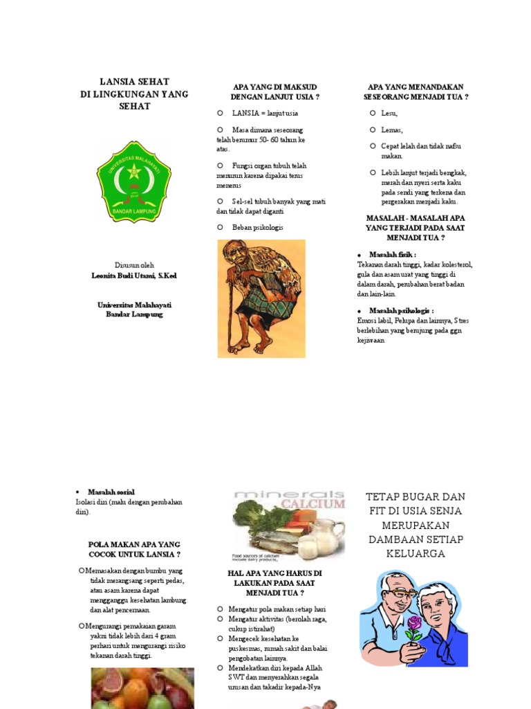 Leaflet Kesehatan Lansia | PDF