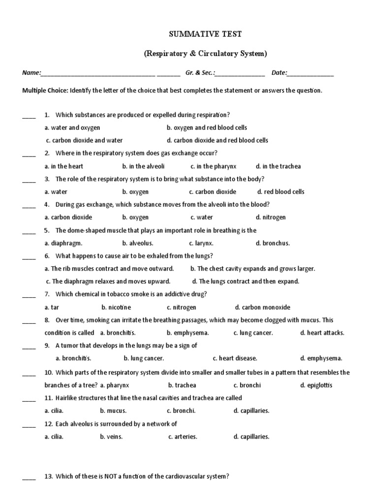 Respiratory & Circulatory Summative Test | PDF | Respiratory System ...