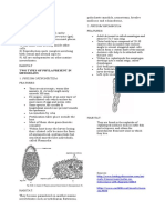 Phylum Priapulida | PDF