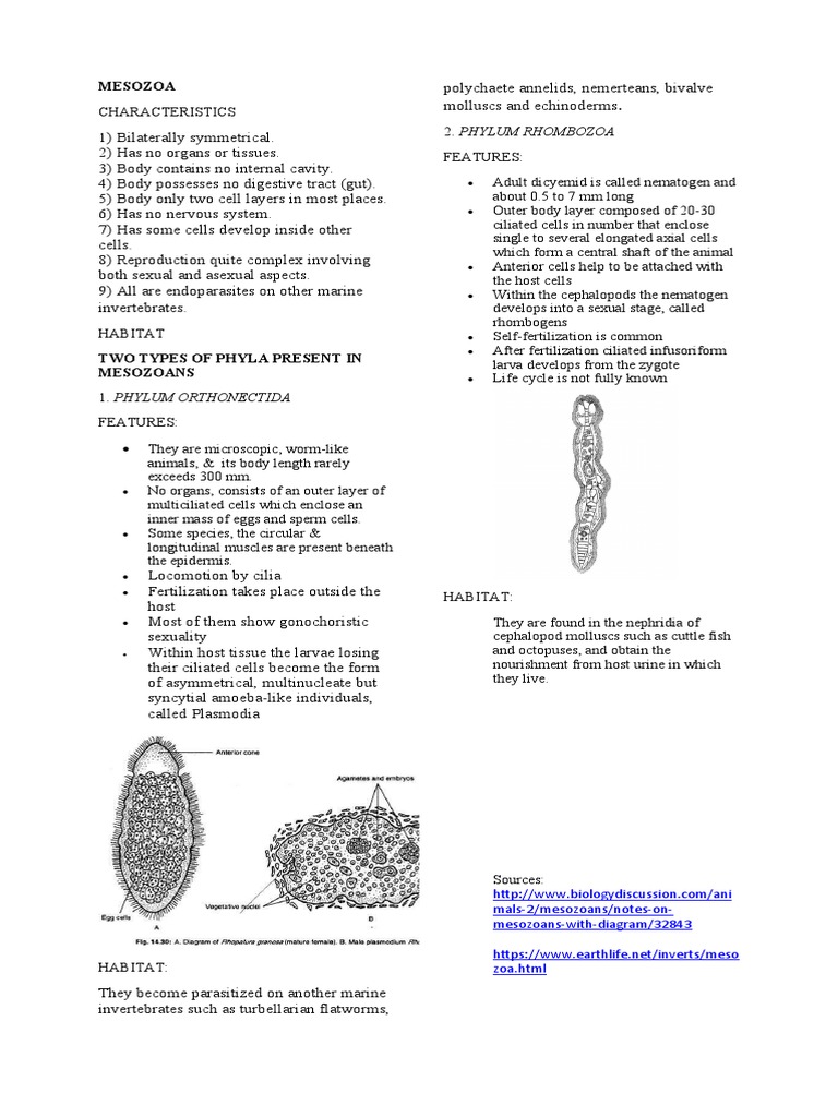 Mesozoa: Mals-2/mesozoans/notes-On-Mesozoans-With-Diagram/32843 Zoa ...