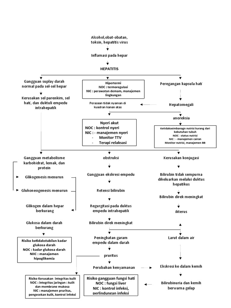 Pathway Hepatitis | PDF