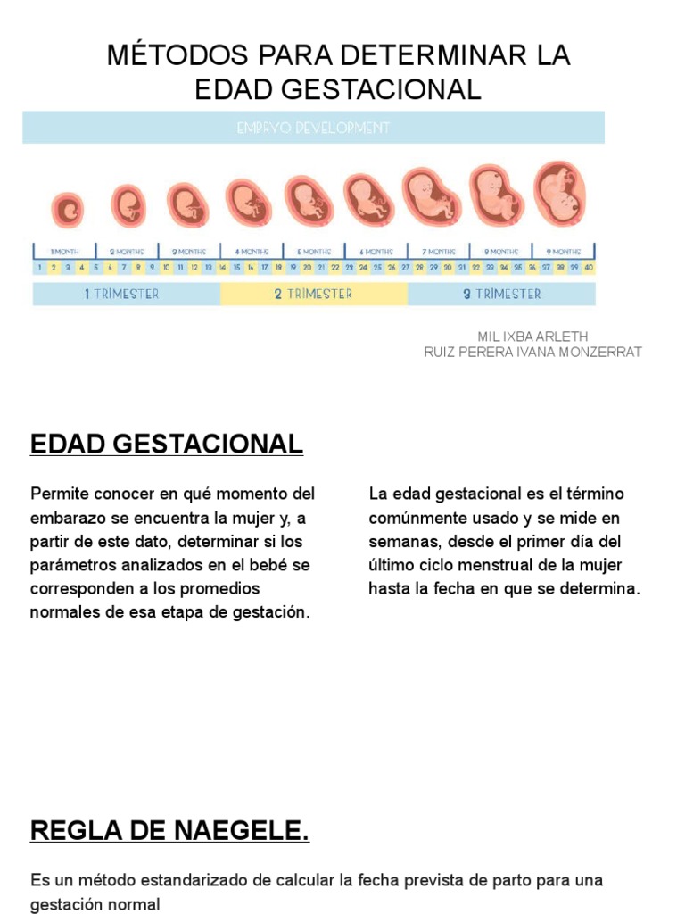 Métodos para Determinar La Edad Gestacional | PDF