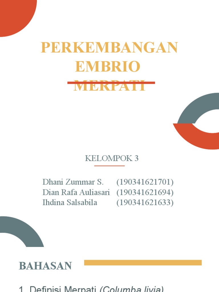 Perkembangan Embrio Merpati secara Detail | PDF