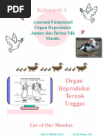 Anatomi Fungsional Organ Reproduksi Sapi Betina | PDF