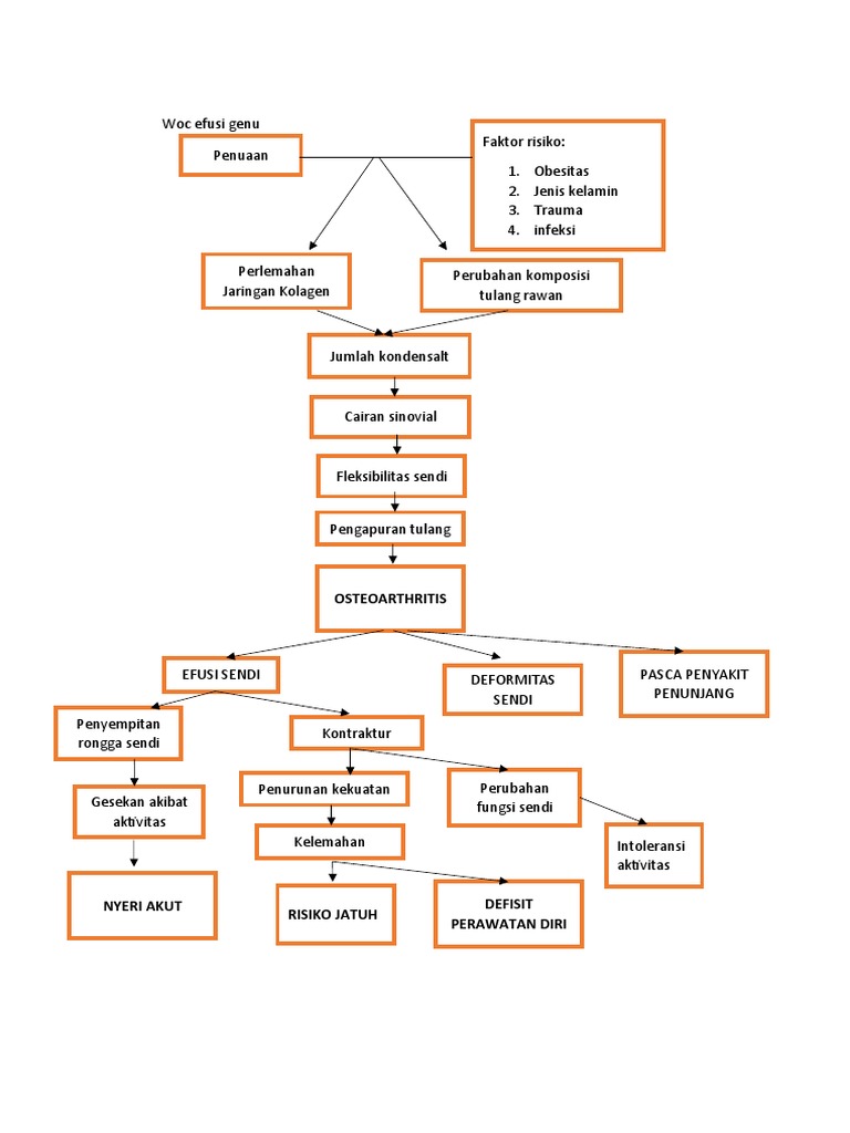 Woc Efusi Genu | PDF