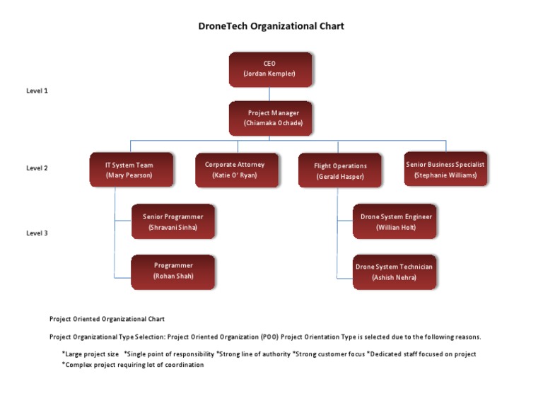 DroneTech Organizational Chart PDF | PDF