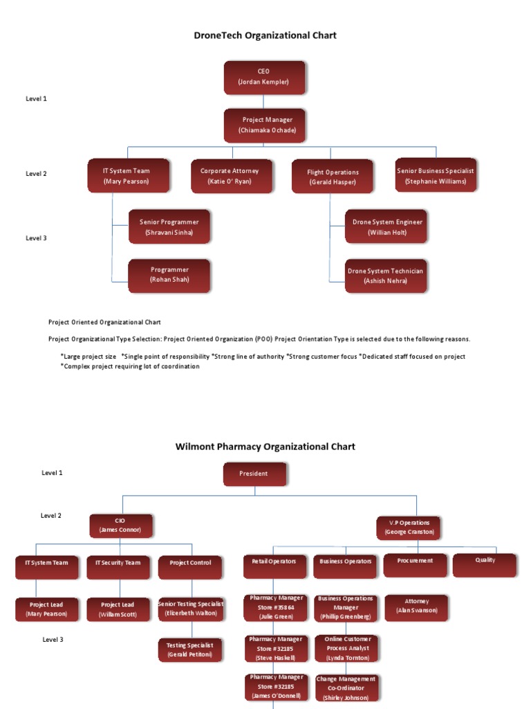 DroneTech Organizational Chart | PDF | Business | Business (General)