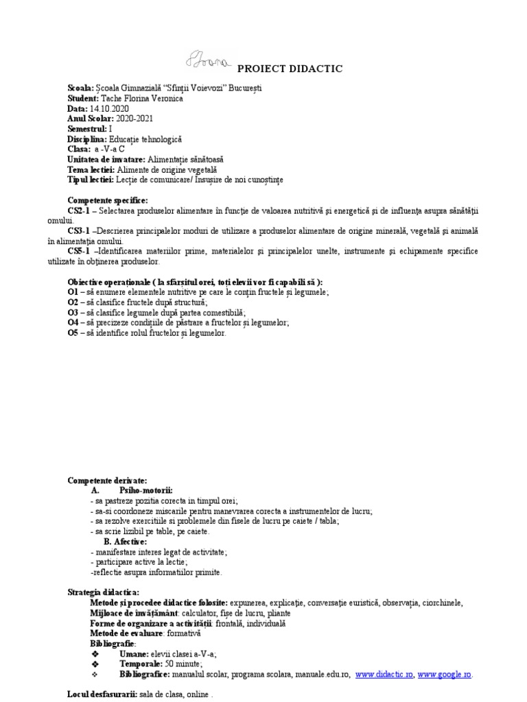 Proiect Didactic - Tache - Florina - Veronica | PDF