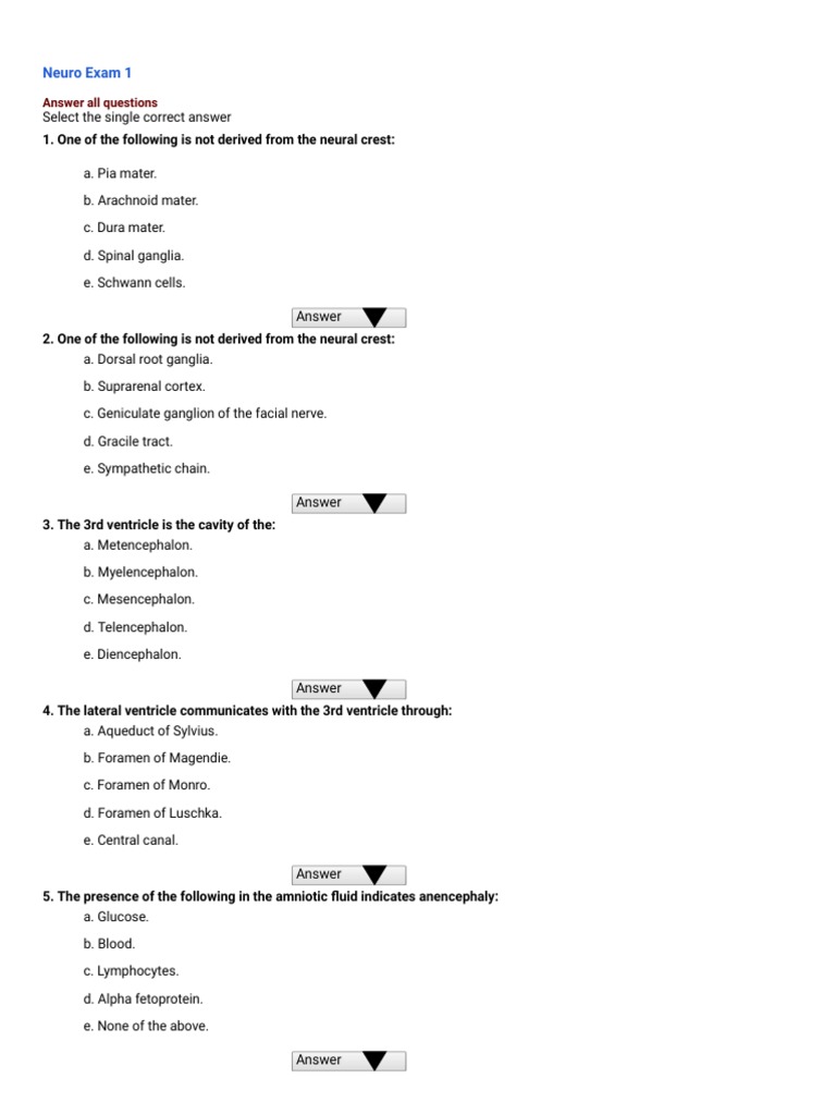 Anatomy Cns MCQs 11 | PDF | Cerebellum | Cerebral Cortex