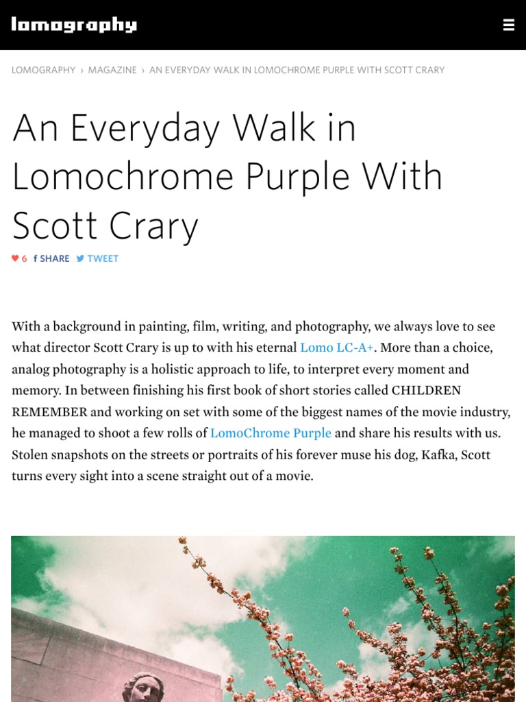 An Everyday Walk in Lomochrome Purple With Scott Crary - Lomography ...