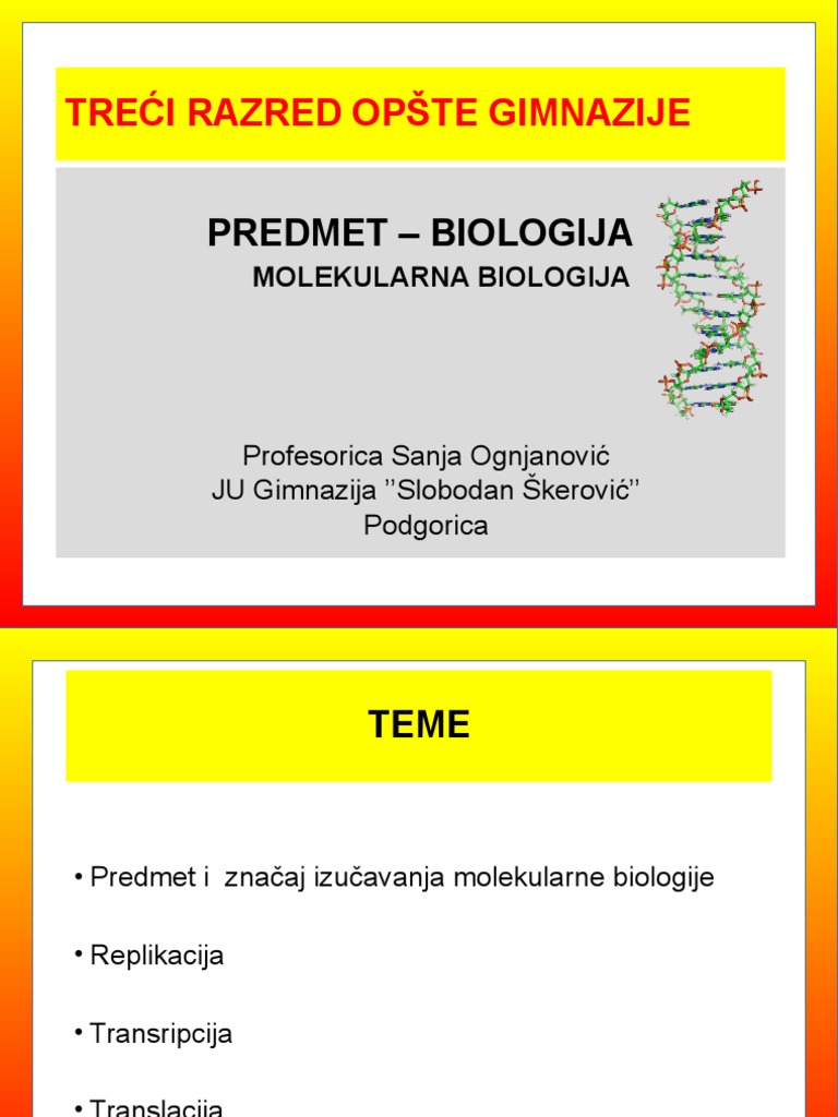 Molekularna Biologija 2 | PDF
