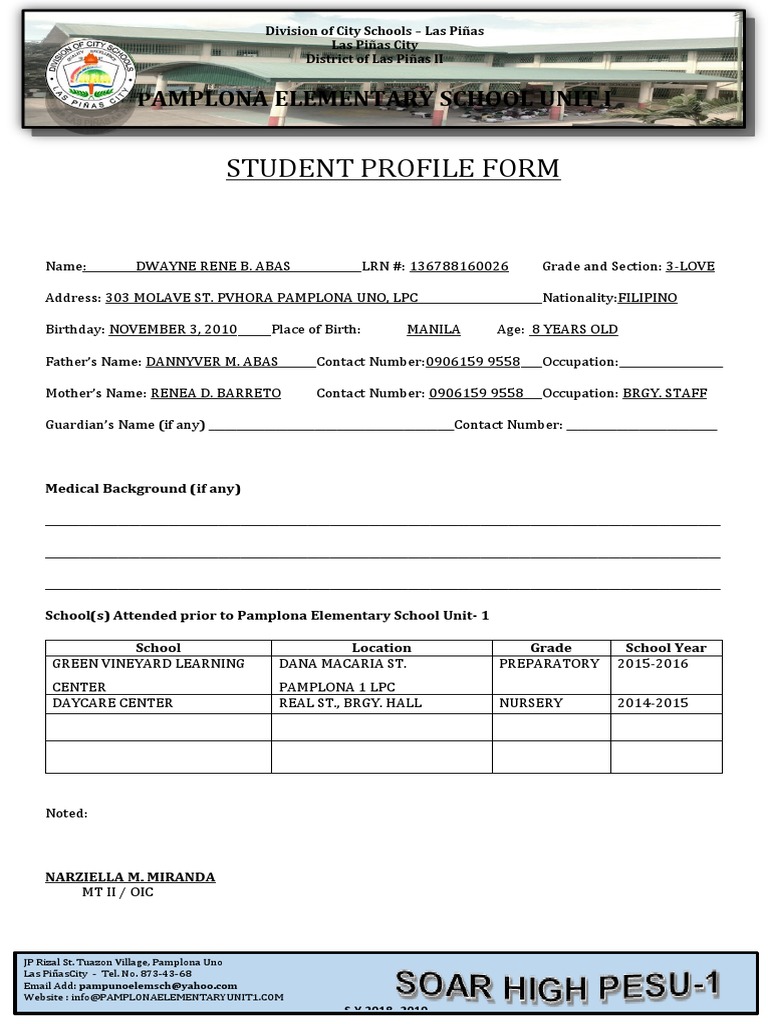Student Profile Form: Amplona Elementary School Unit I | PDF