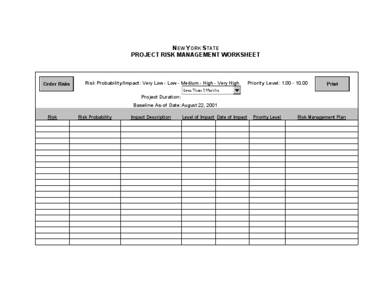 Risk Management Worksheet V3 BLANK | PDF