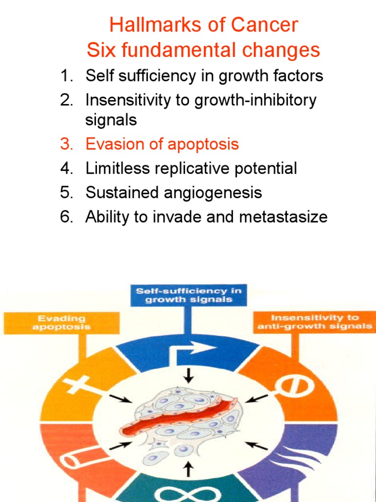 Key Features of Cancer Biology | PDF | Angiogenesis | Carcinogenesis