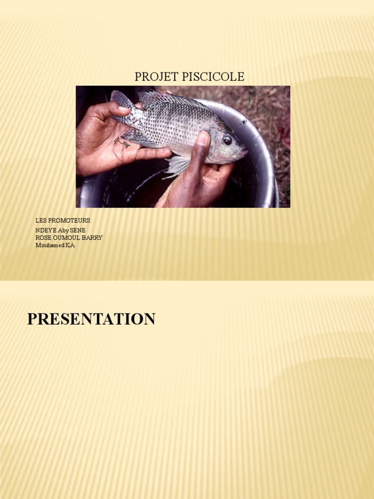 Projet de Pisciculture à Tambacounda | PDF | Aquaculture | Poissons et ...