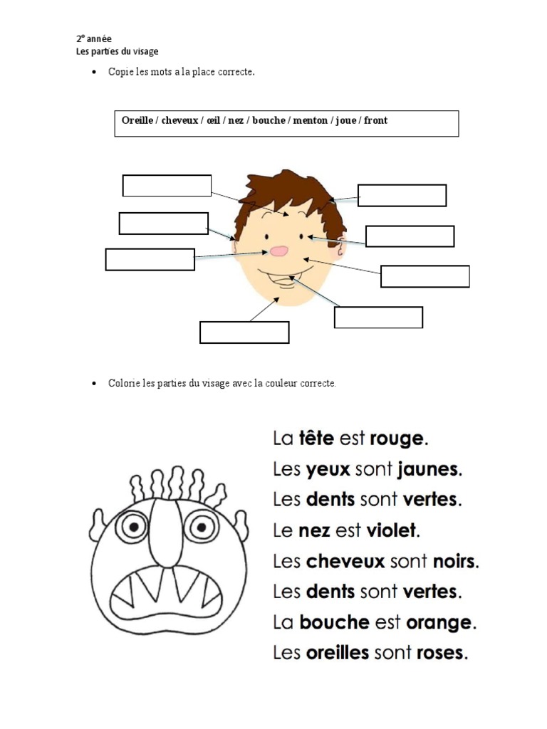Les Parties Du Visage | PDF