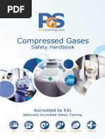 Compressed Gas Association Pamphlet 1965 (2006) | PDF
