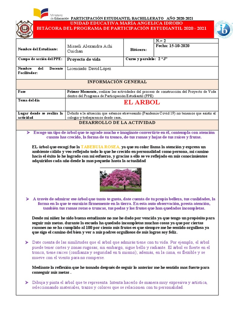 Alexandra Achi Bitacora Numero 2 | PDF | Autoestima | Science