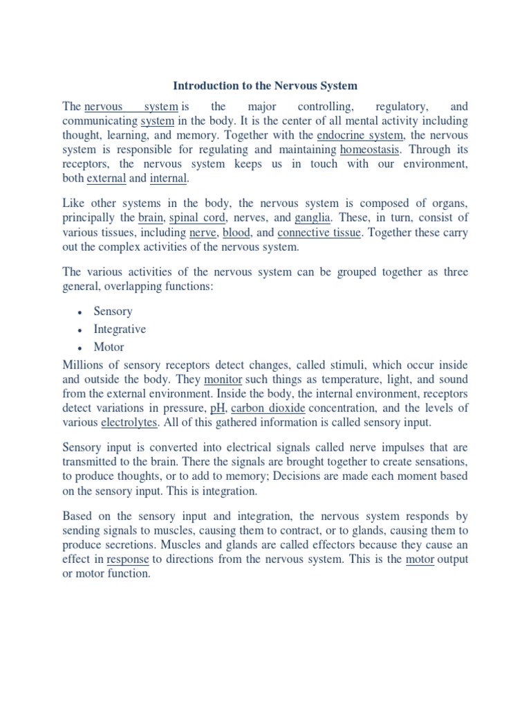 Introduction To The Nervous System PDF | PDF | Axon | Nervous System