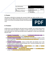 Relative Dating Worksheet Whats Up Key | PDF | Stratigraphy | Physical ...