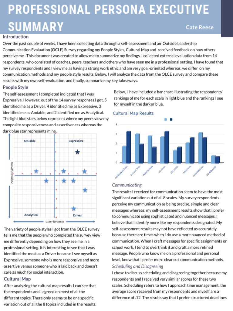 Professional Persona Executive Summary | PDF | Action (Philosophy ...