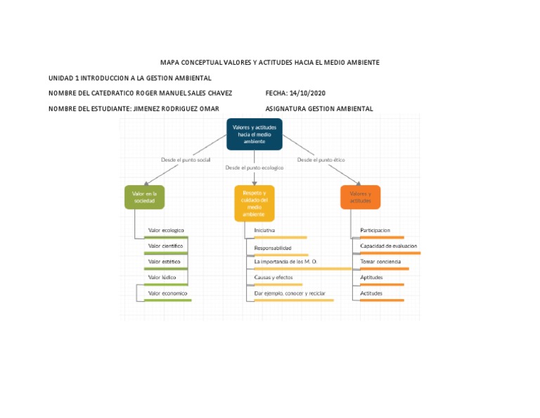 Mapa Conceptual Valores y Actitudes Hacia El Medio Ambiente | PDF