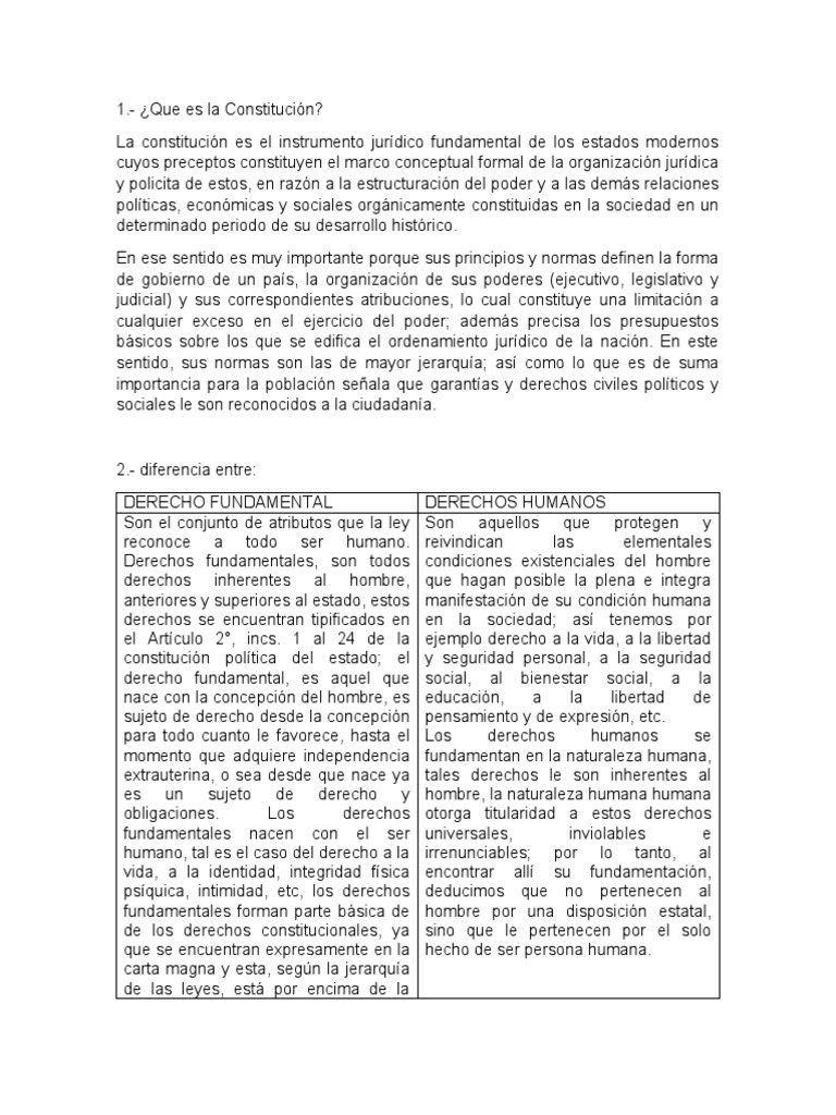 Que Es La Constitucion | PDF | Derecho Constitucional | Estado (política)