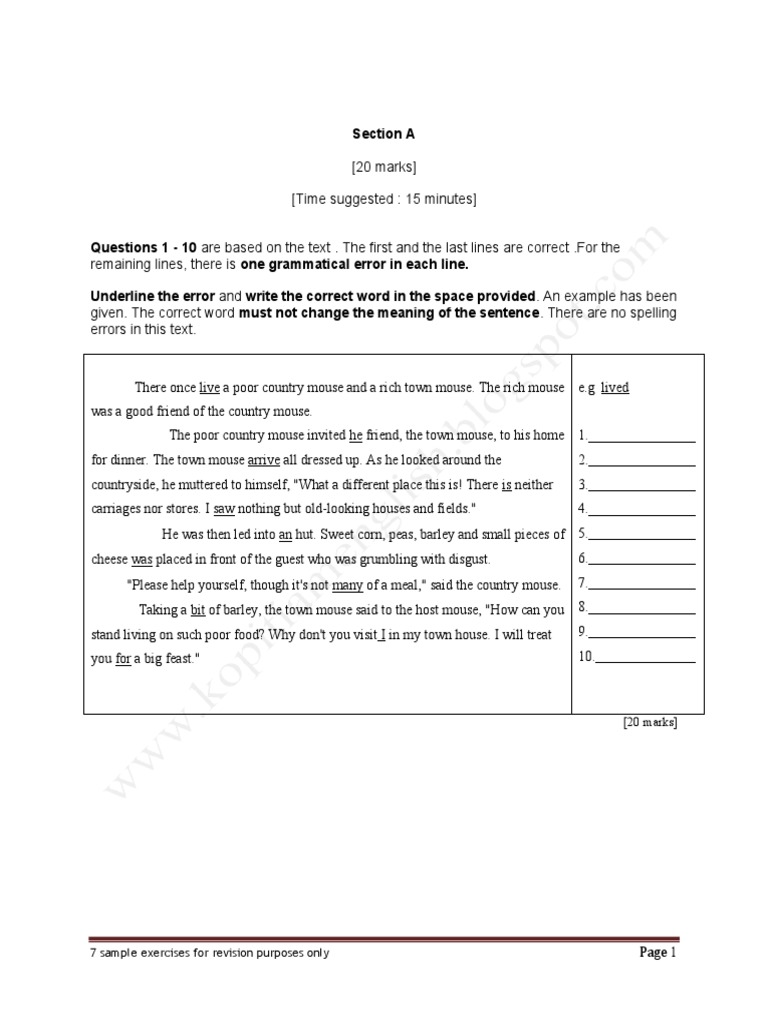 pt3 Error Identification Exercise | PDF | Duck | Flood
