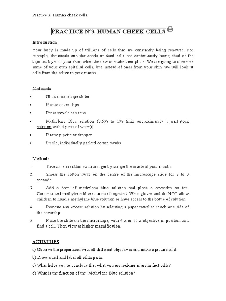Practice Nº3. Human Cheek Cells: Activities | PDF | Self-Improvement ...