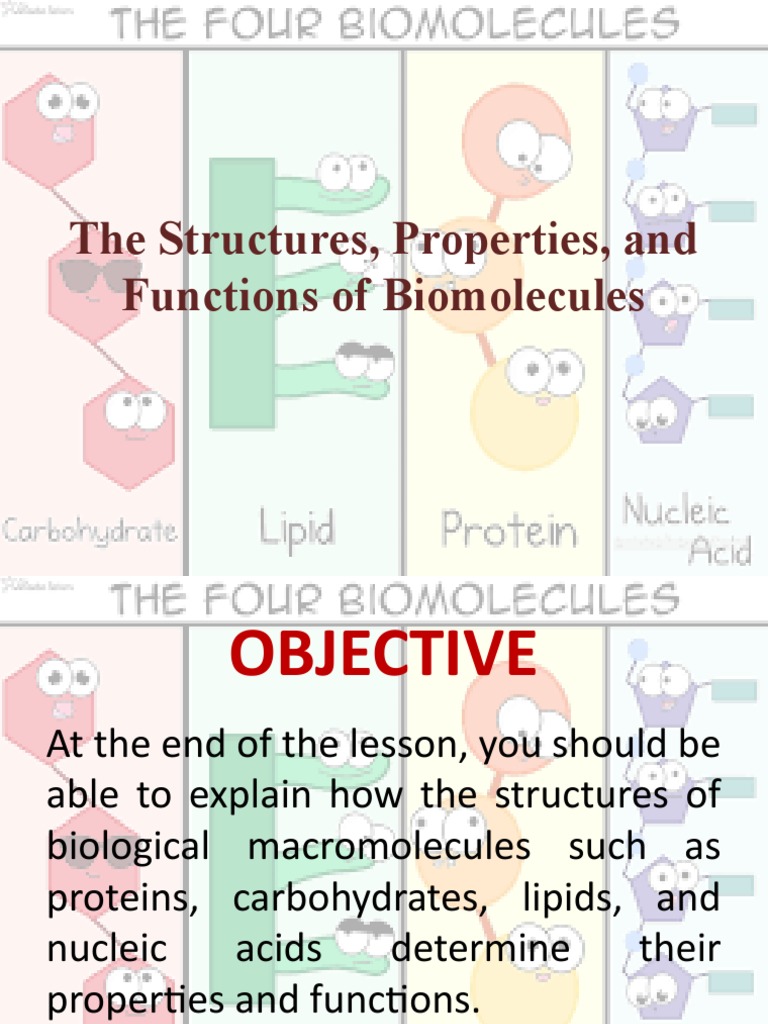 The Structures, Properties, and Functions of Biomolecules | PDF | Rna ...