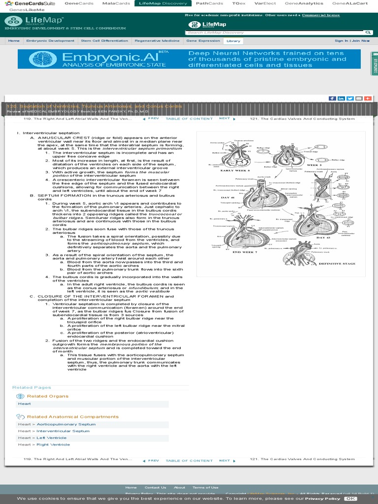 Chapter 120. Septation of Ventricles, Truncus Arteriosus, and Conus ...