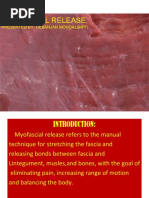 6 - Pelvic Rocking Exercises | PDF | Pelvis | Abdomen