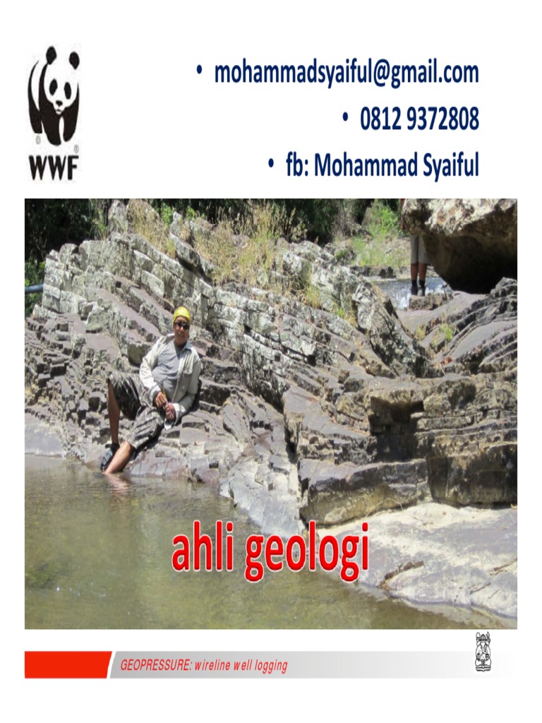 Wireline Well Logging 20151015 | PDF | Porosity | Science