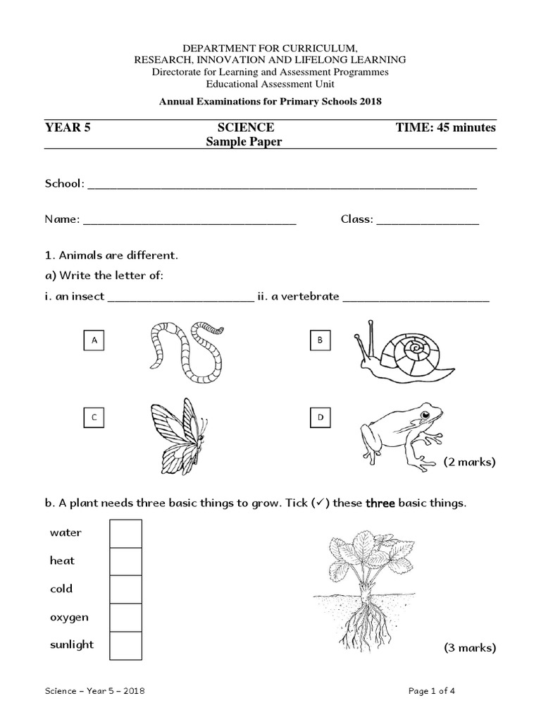 Year 5 Science TIME: 45 Minutes Sample Paper | PDF | Mirror ...