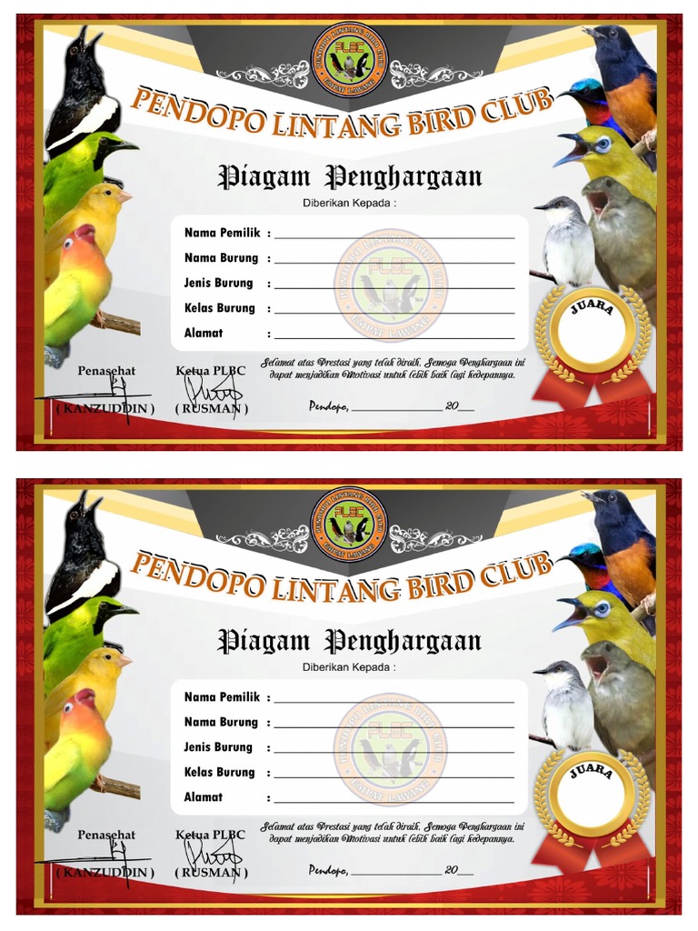 Contoh Piagam Lomba Burung | PDF