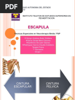 Ejercicios de Buerguer Allen para Circulación | PDF