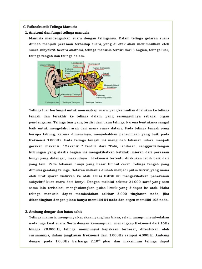 Psikoakustik Telinga Manusia | PDF