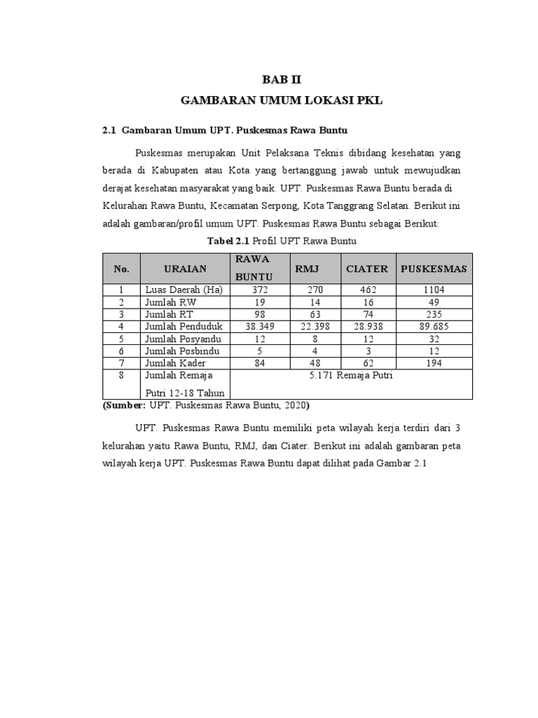 Profil UPT Puskesmas Rawa Buntu | PDF