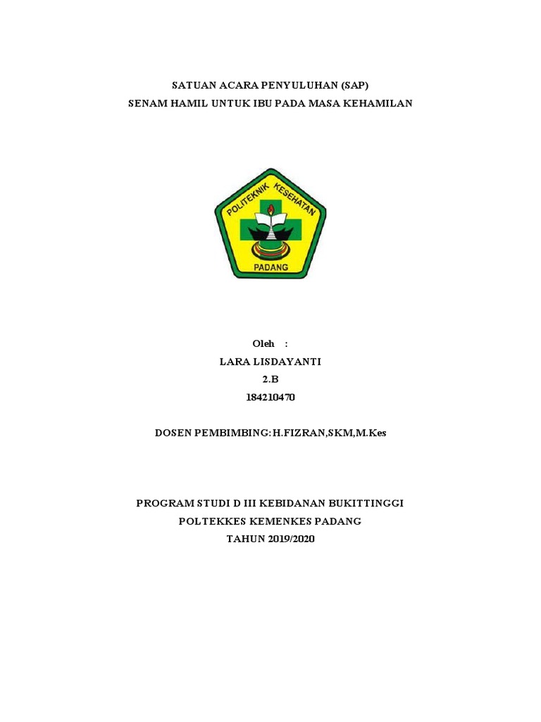SAP Promkes | PDF